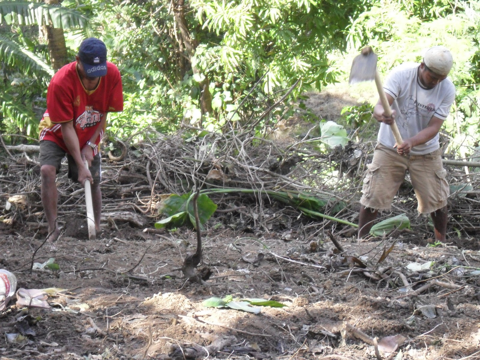 ivatan culture: ivatan farming activities