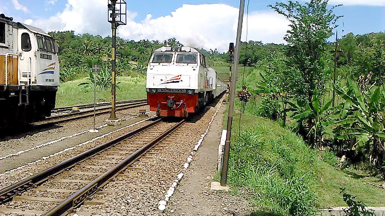 kereta galleri: Kereta Argo Wilis Eksekutif Terbaru