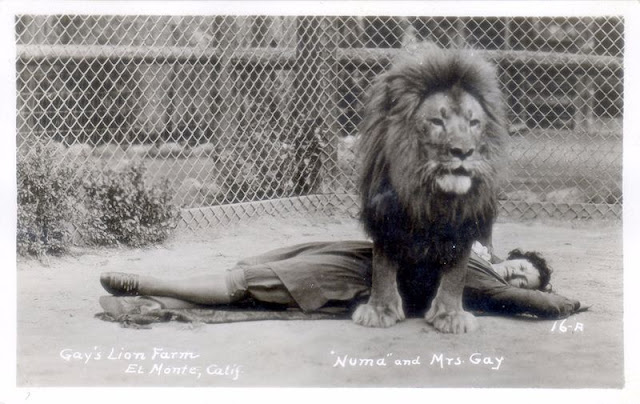 El Monte’s Wild Past: Incredible Vintage Photographs Capture Inside Gay ...