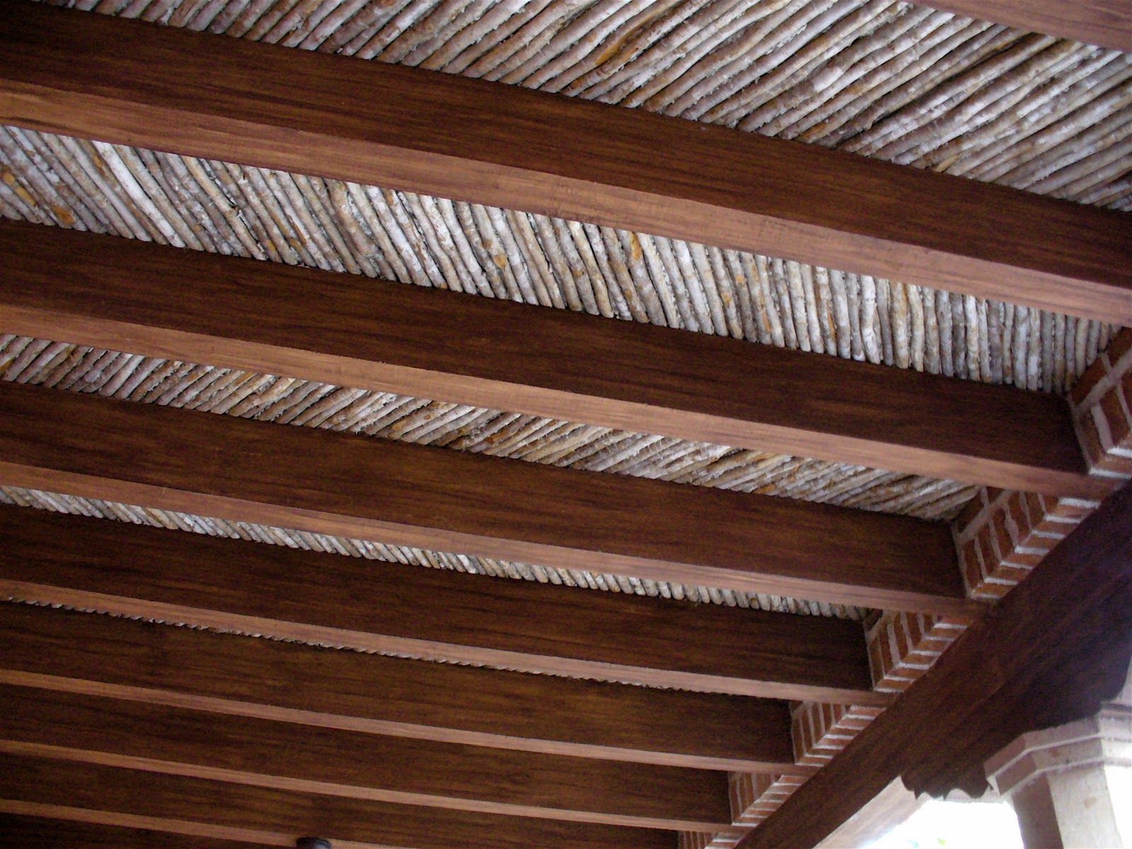 Alt. Build Blog: Ceiling Treatments In Alamos, Sonora