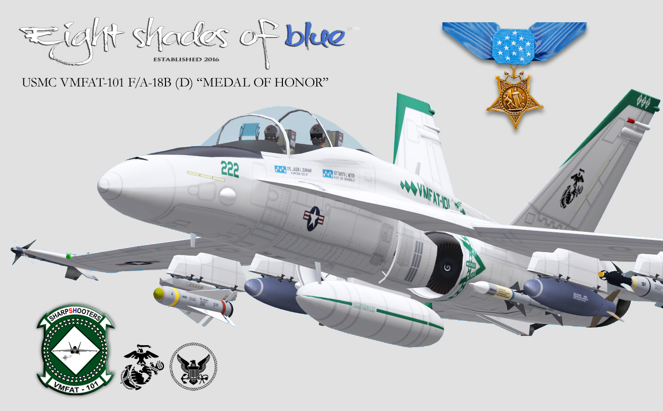 Eight Shades of Blue: USMC F/A-18D Hornet VMFAT-101 2012 "Medal of Honor"