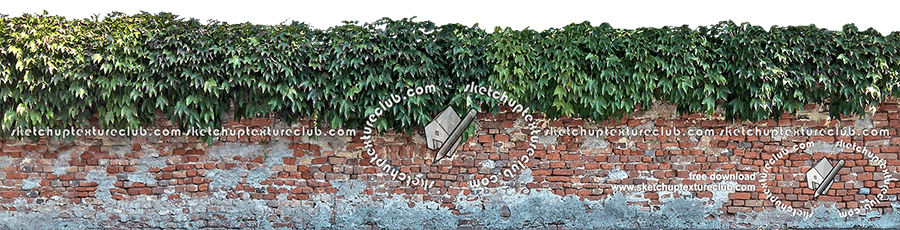 SKETCHUP TEXTURE: Extraordinary exclusive new cut-out hedges textures