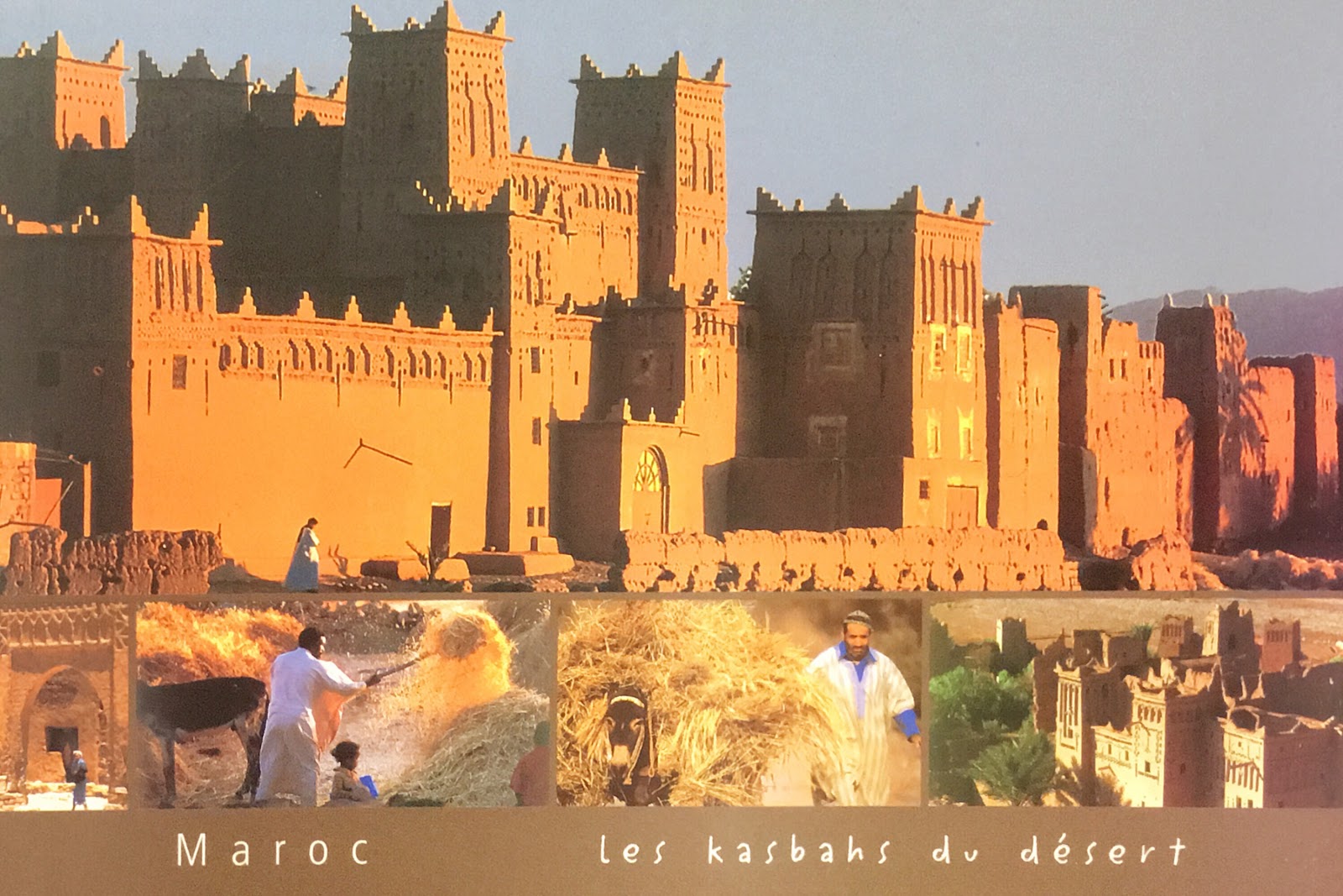 Postcards and Adventures Around the World