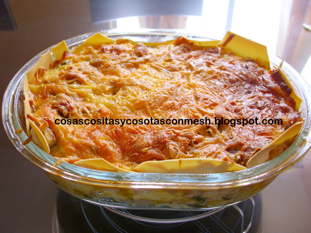 Como hacer lasagña de pollo ~ cositasconmesh
