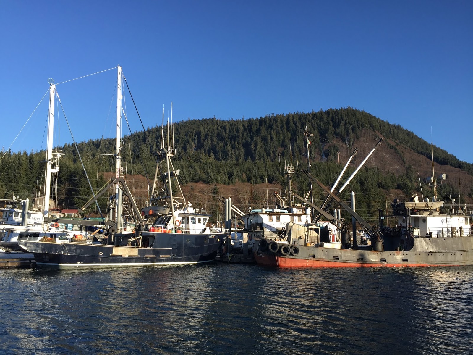 Denali Rose: Tidbit: Docking with Bull Rails Instead of Cleats ...