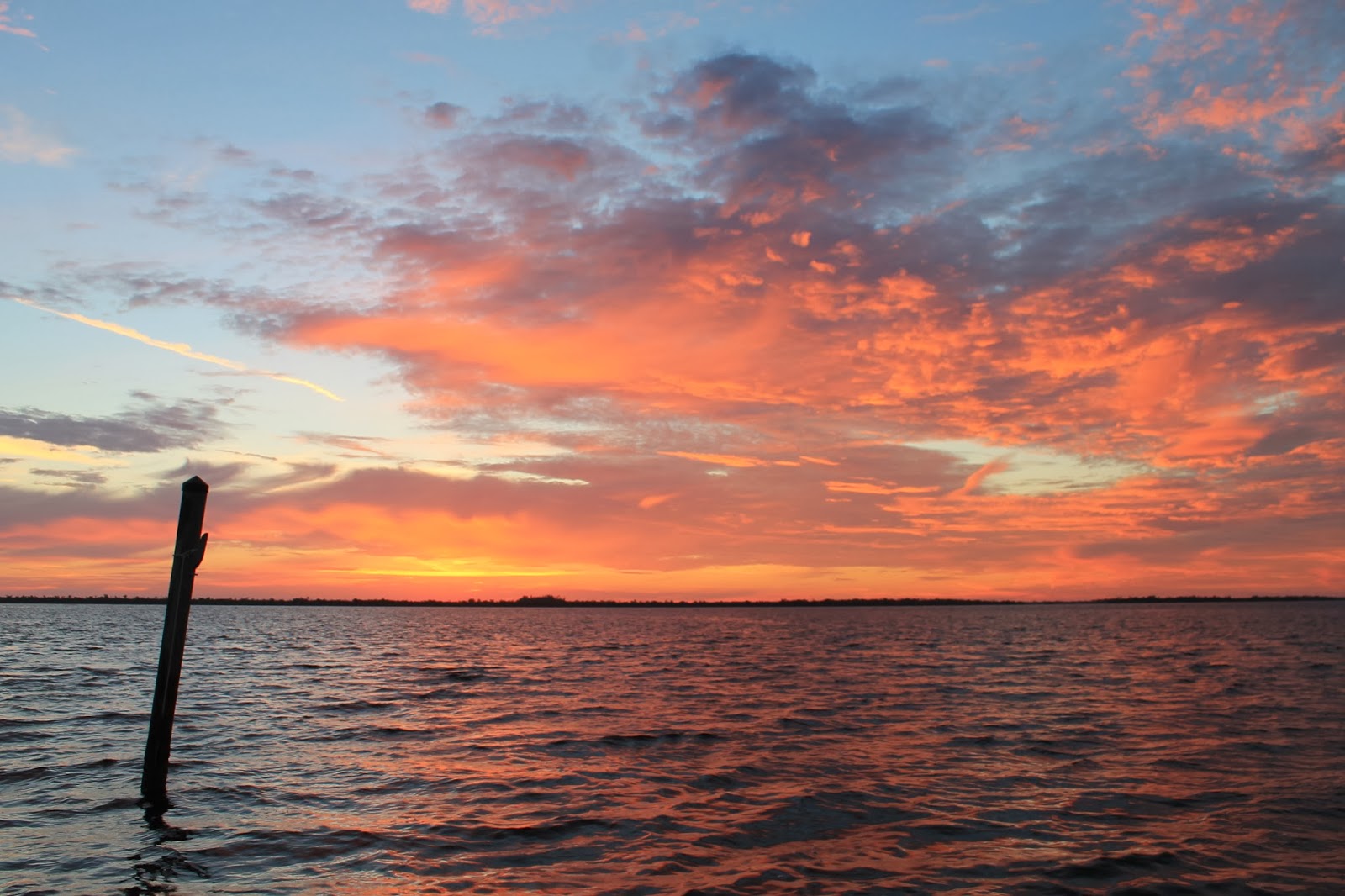 Connecting Pieces: Fall Color in the Sky