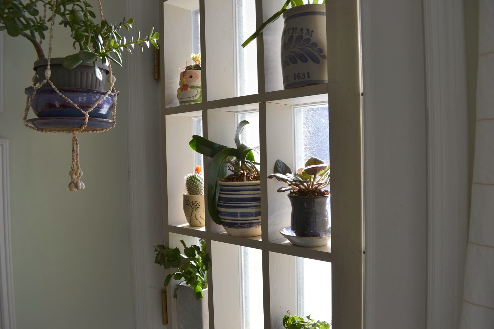 Attic Lace: Snow Day Project: Window Plant-Cubby