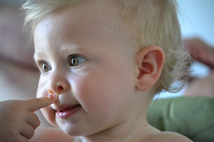 Parson Russell Terrier: Audrey & Byron ******I MANGIAROSPI******