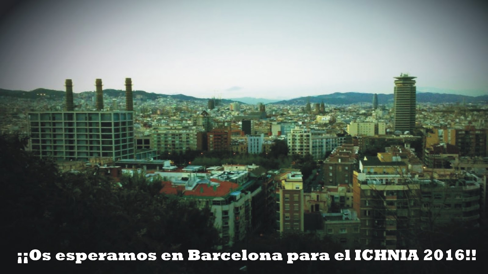 Paleobiologia del Neogen Marí: ICHNIA 2012 - las Olimpiadas de la ...