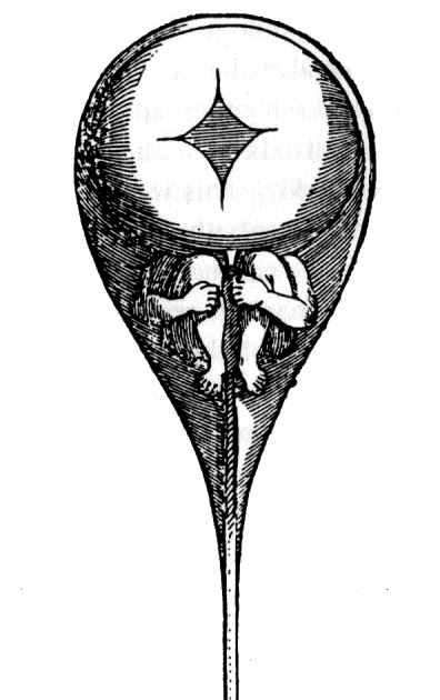 Biologia: Teoria do pré-formismo e teoria celular