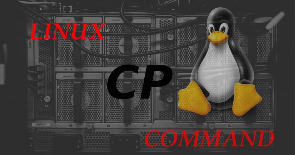Copy cp File And Directory Examples LPI Central copy-cp-file-and-directory-examples-lpi-central