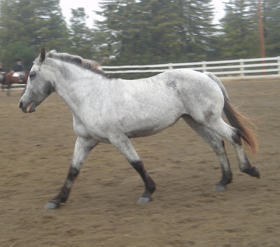 Kevin's Miniatures & Hobby Table: Tutorial: Painting Horses, 28mm