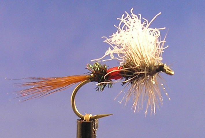 Fly Tyer Man: Royal Wulff