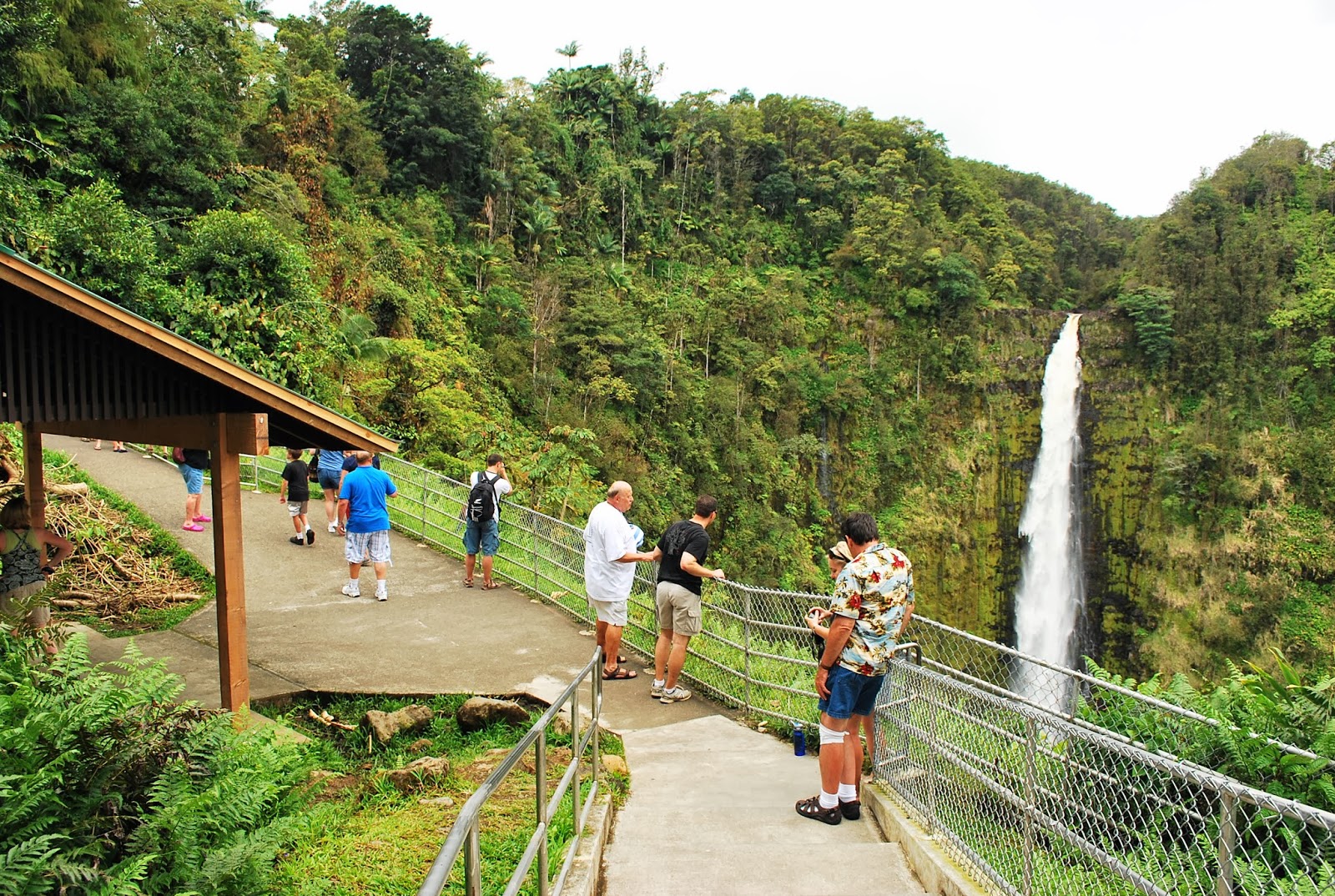 Hawaii - Exploring The Big Island: Akaka Falls State Park