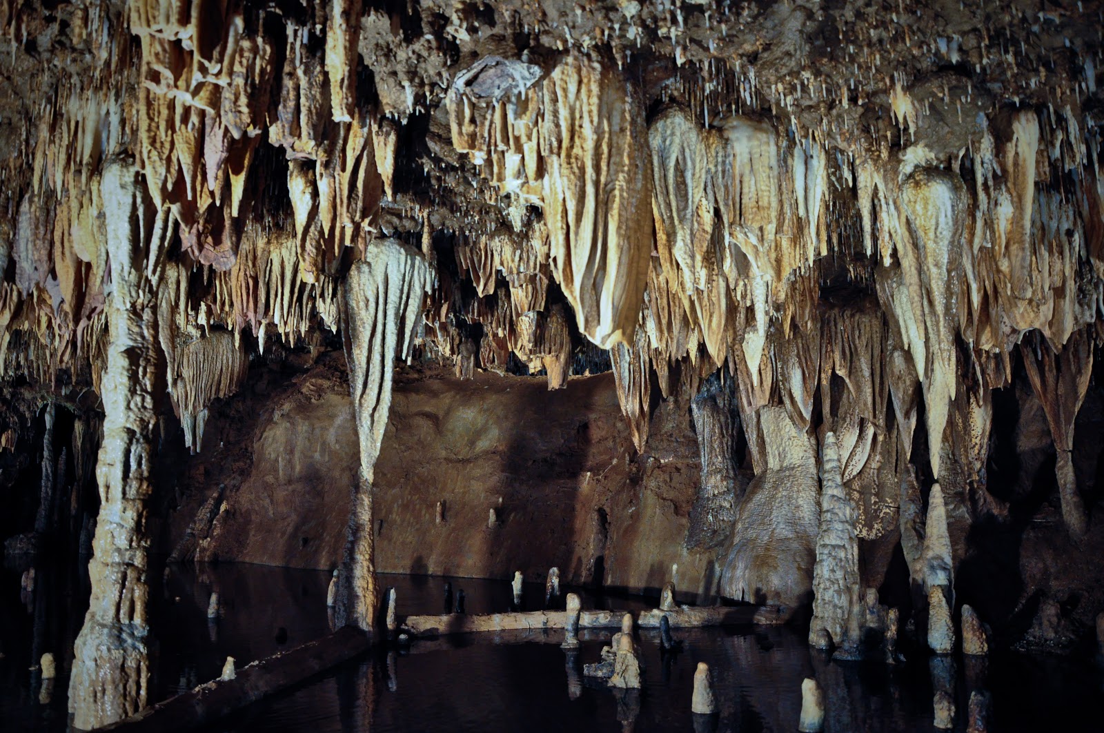 Megan Tyrka Photography: Meramec Cavern and Park