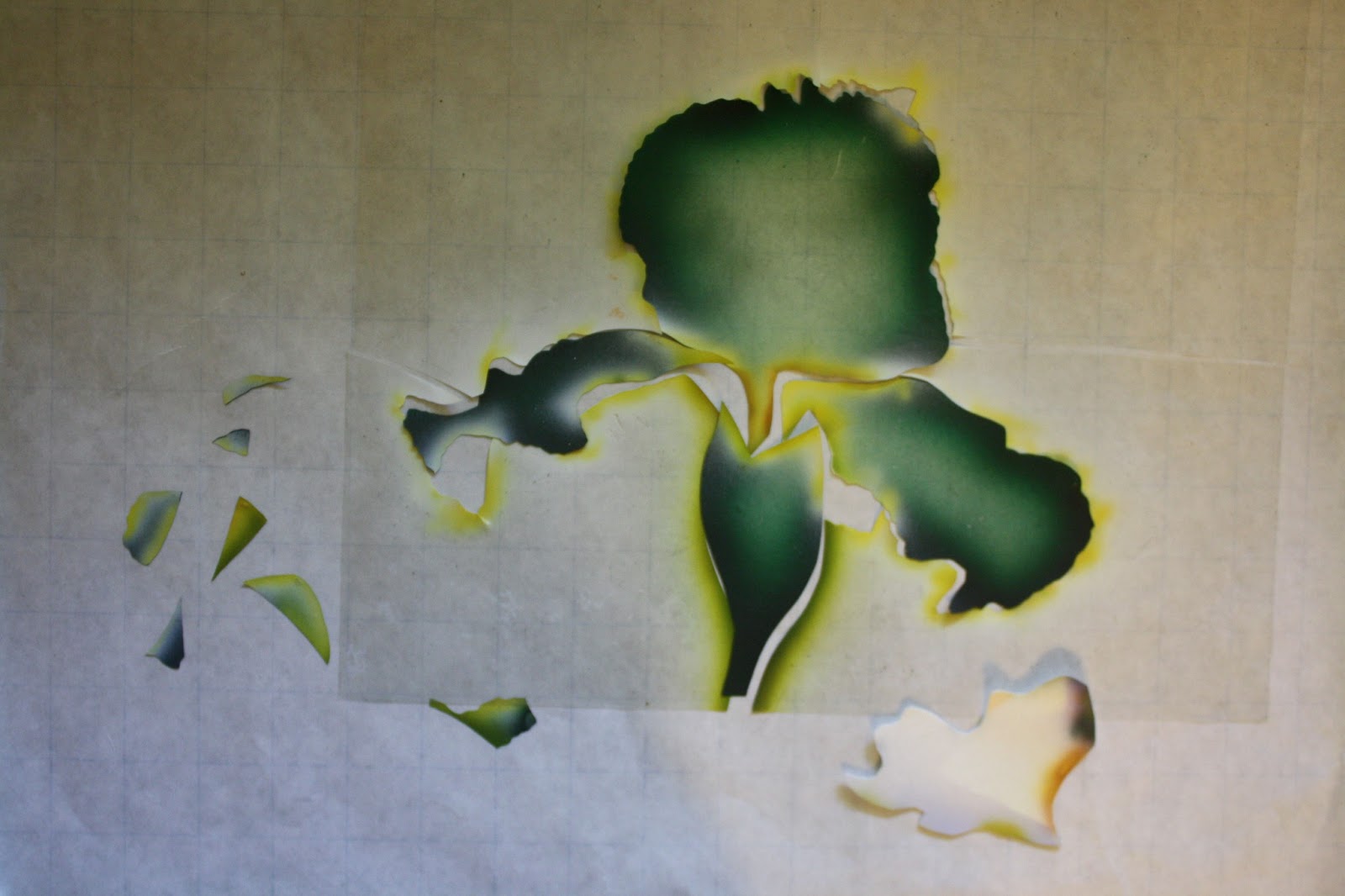 Fred Schollmeyer: Frisket Used in painting "Phaedra's Iris"