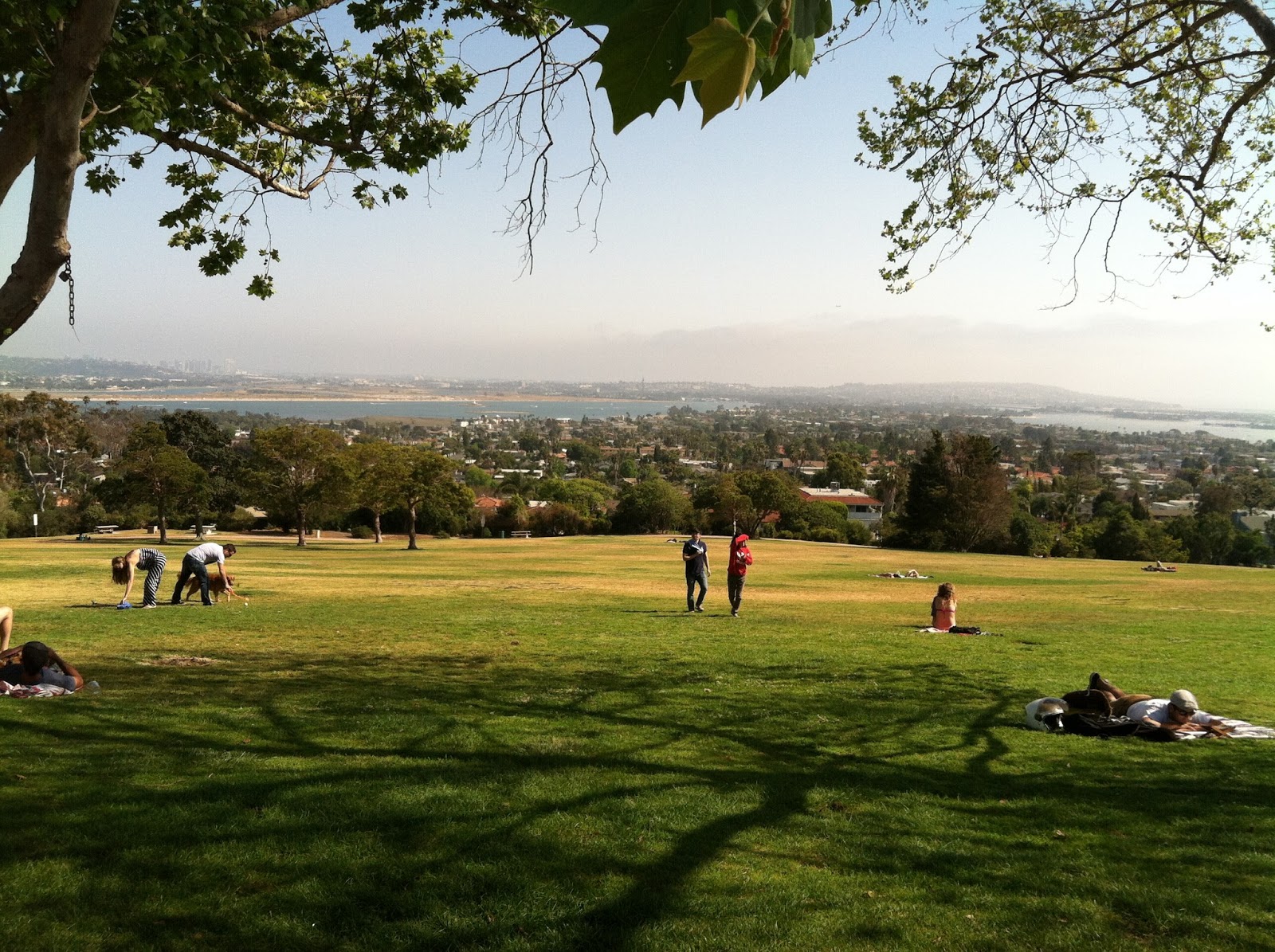 Kate Sessions Park | The Local Tourist