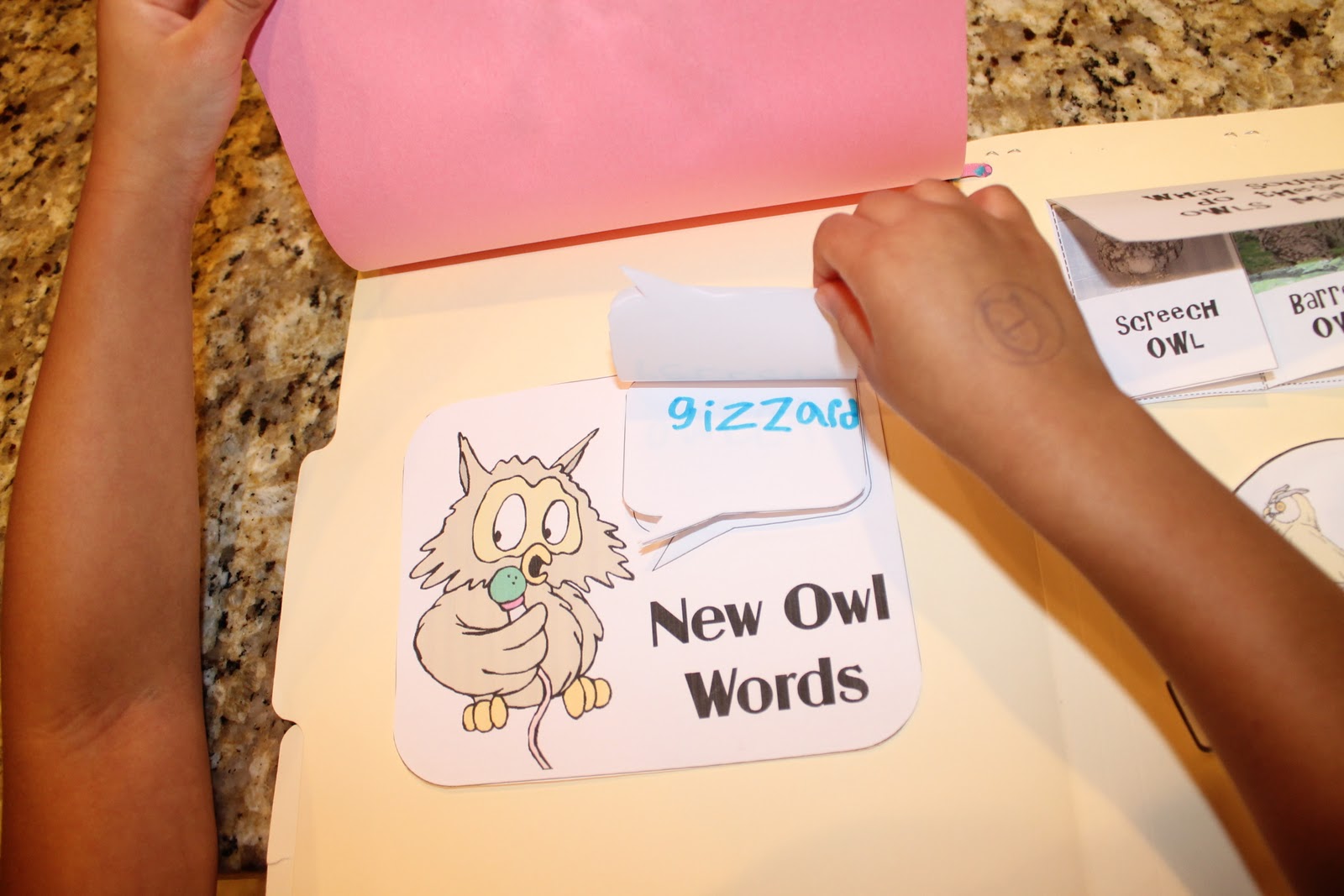 3G=Growing Godly Girlz: Our Owl Lessons {Owl Babies Lapbook}