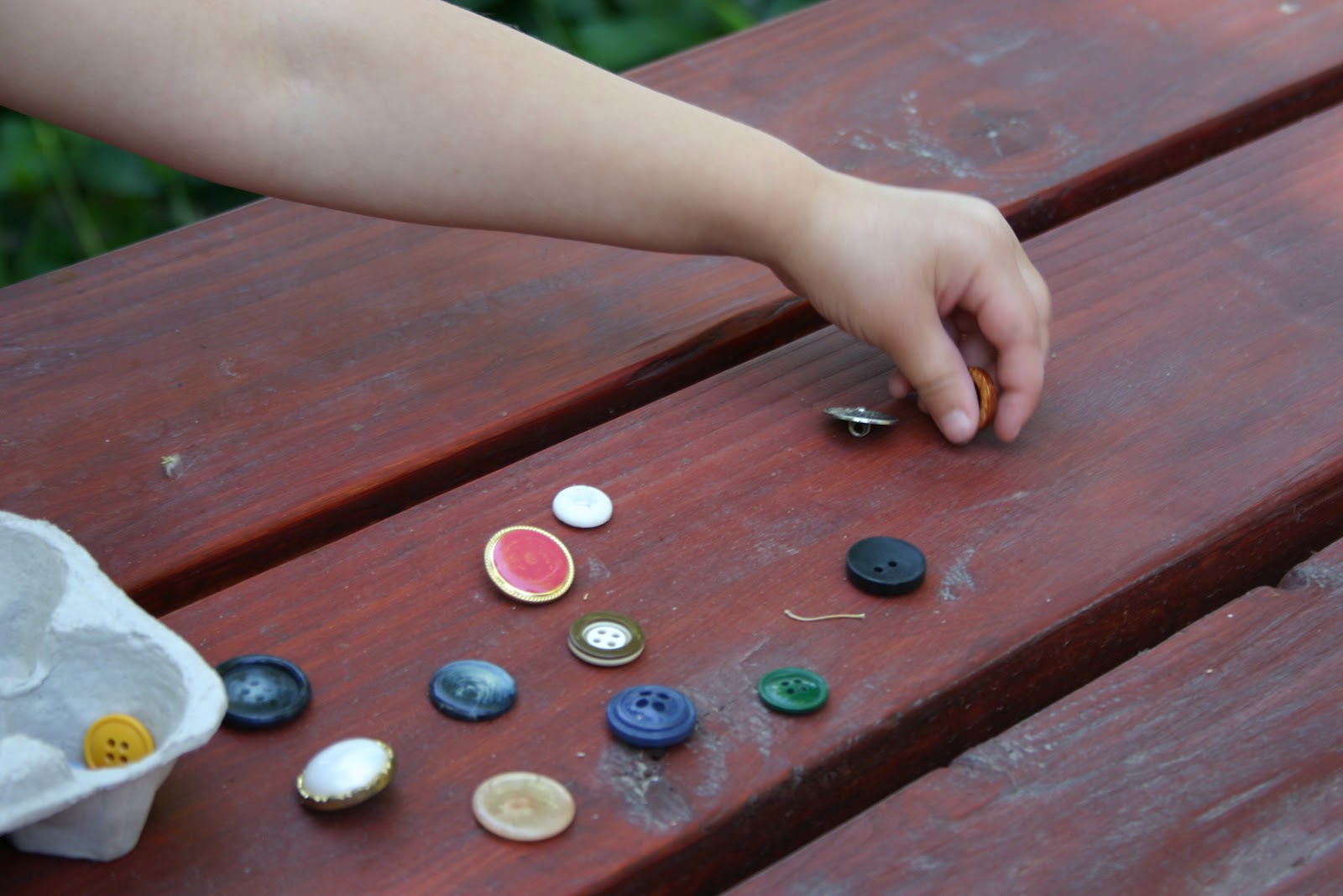 Puddle Wonderful Learning: Preschool Activities: Button Sort