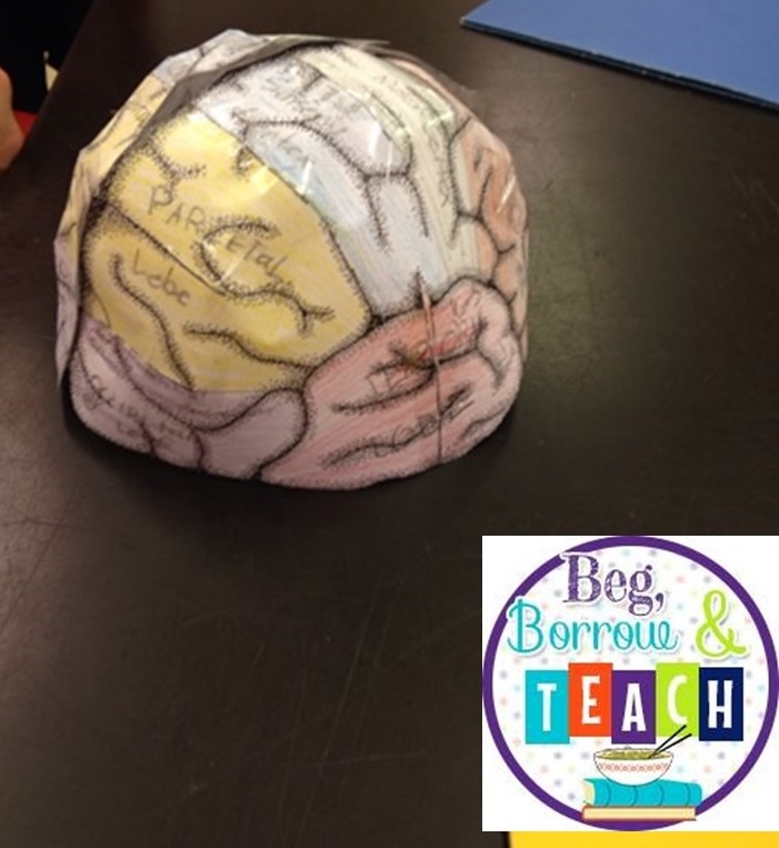 Beg, Borrow, and Teach!: Growth Mindset, Art, and Science Activity ...