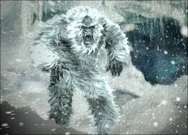 Yeti! Fearsome and Fluffy!