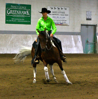 100 Mile Sliders Reining Club: Al Dunning-Steps to the spin