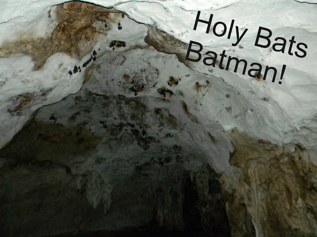 Ruby Belle: Journey Through Puerto Rico: To the Bat Cave!