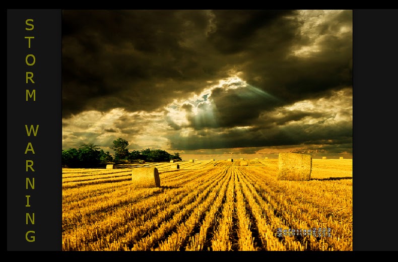 Bible Verse Sow The Wind Reap The Whirlwind at Bobby Gibson blog