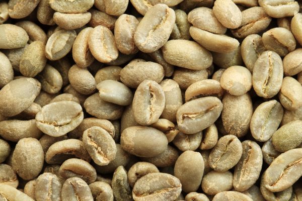 Arabica Plantation Java Beans - Enjoy The Most Delicious Joe In The ...