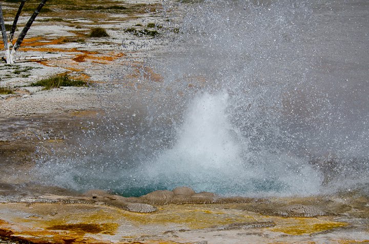 Scott and Angie's Blog