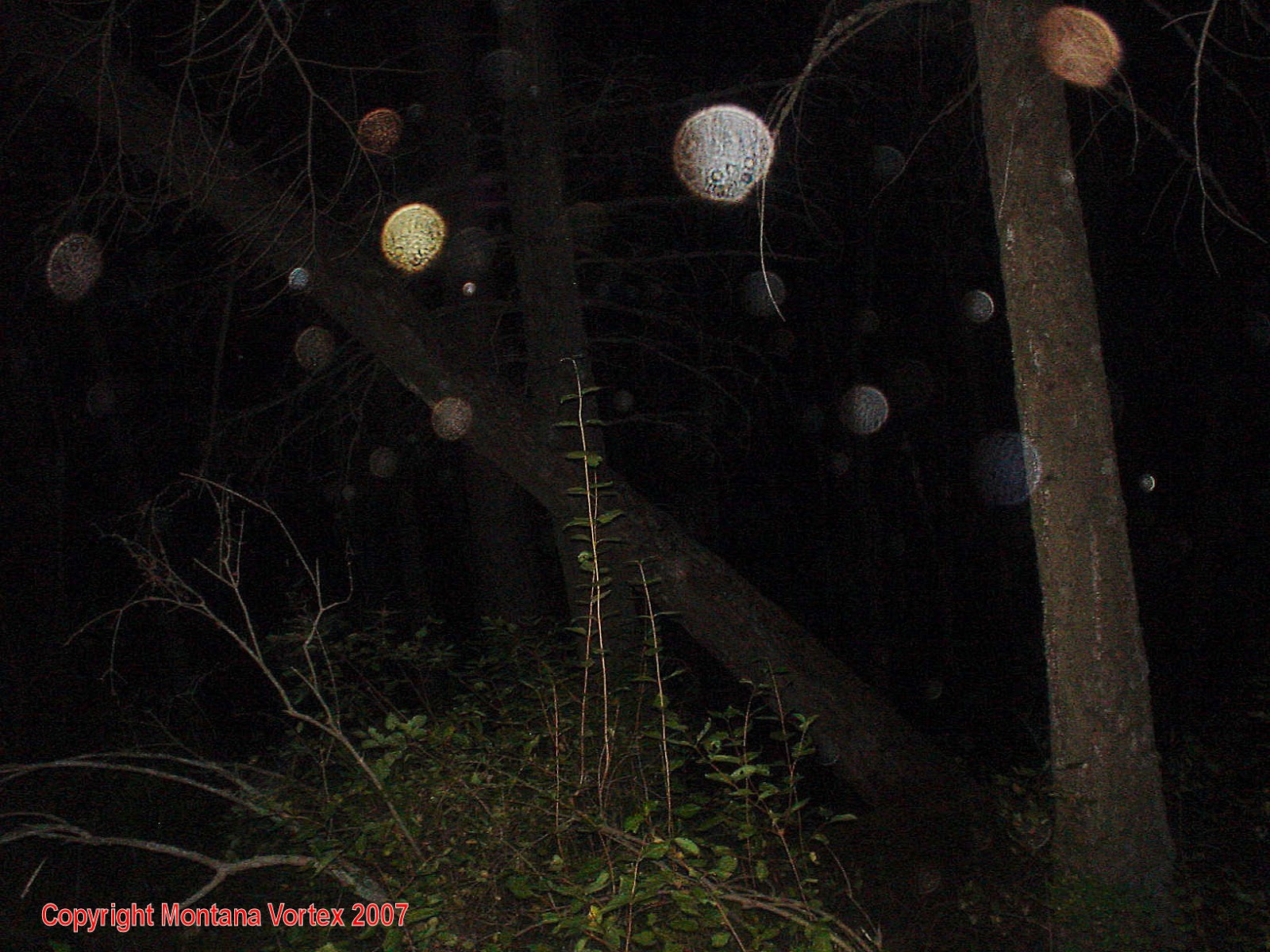 RMSO Bigfoot: Video of Flying Orb & Photos. Are Orbs Related to Bigfoot ...