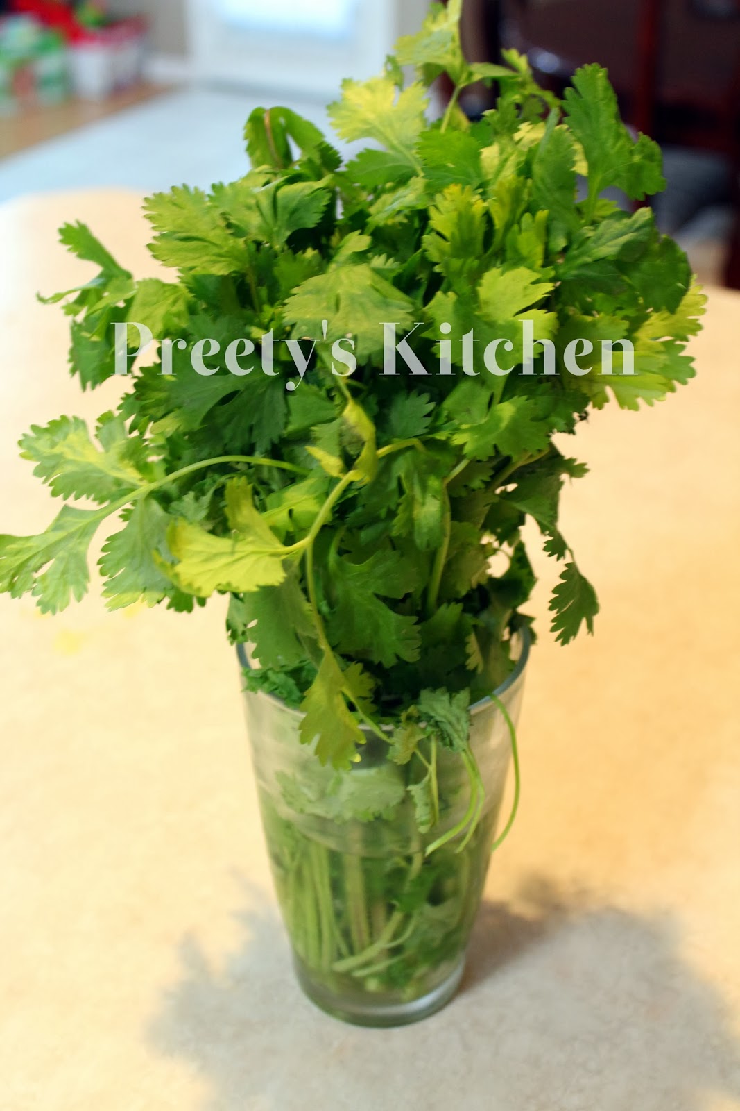 Preety's Kitchen: How To Buy,Store & Freeze Fresh Cilantro