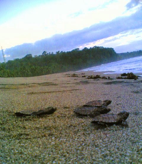 Romi Garduce: Visiting Bataan