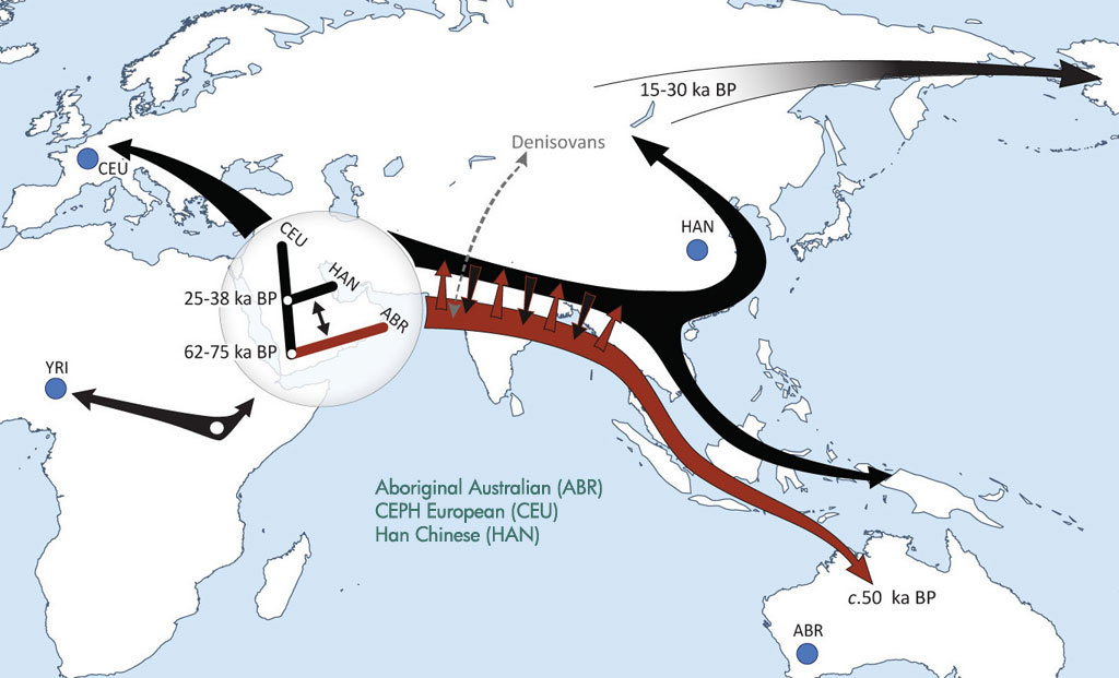 Ramblings : Denisovans and Depilation: New Thoughts On Modern Human ...