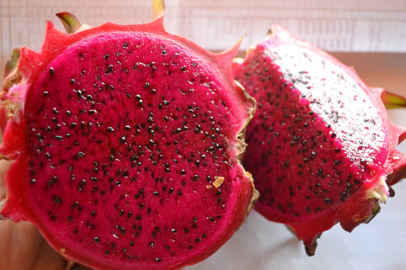 Pitaya Polpa Roxa (Hylocereus polyrhizus)