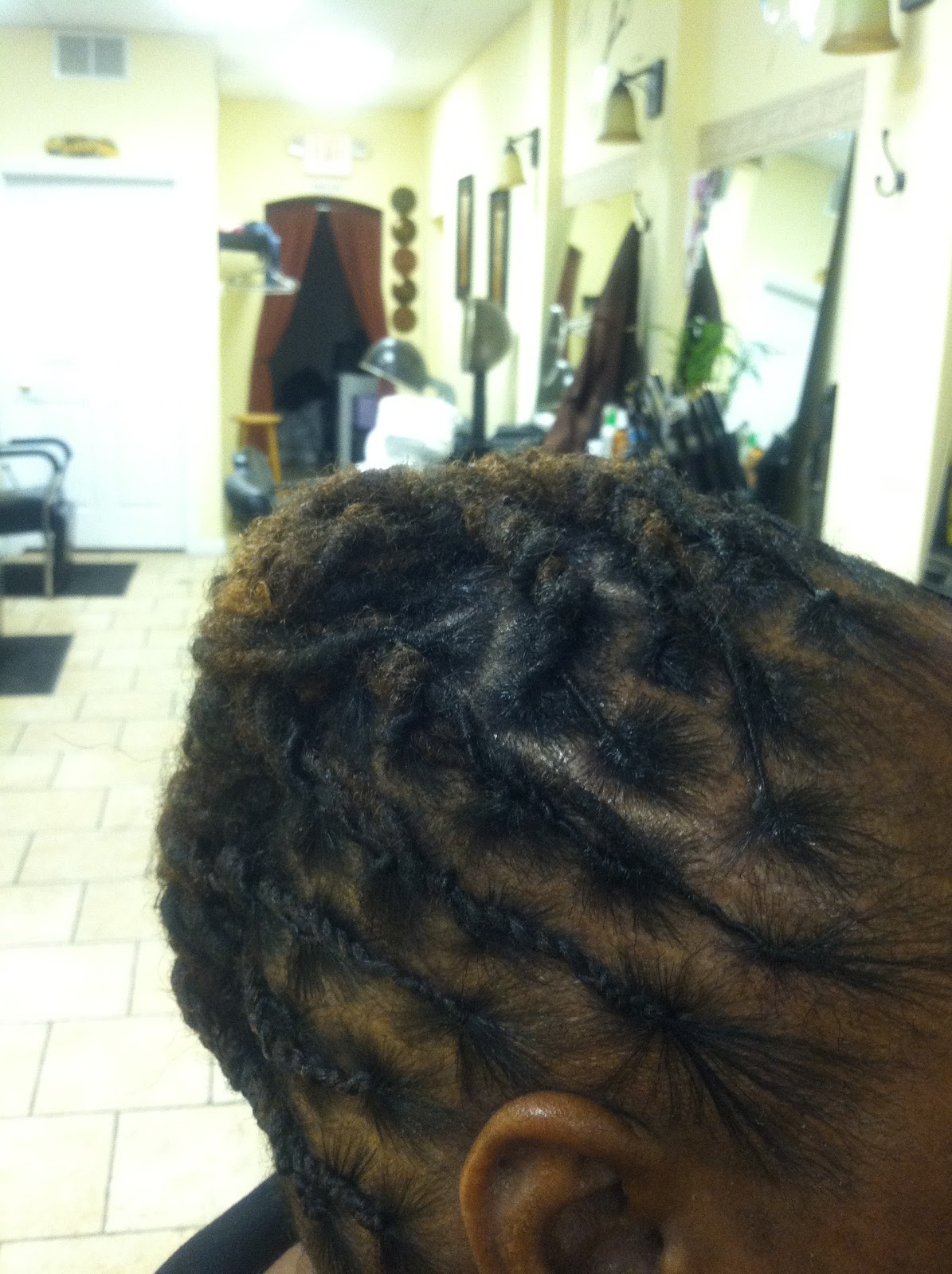 Palm Rolled Locs Style