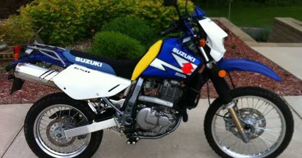 Dr. Suzi Blue's Diaries: Suzi Blue as I Bought Her