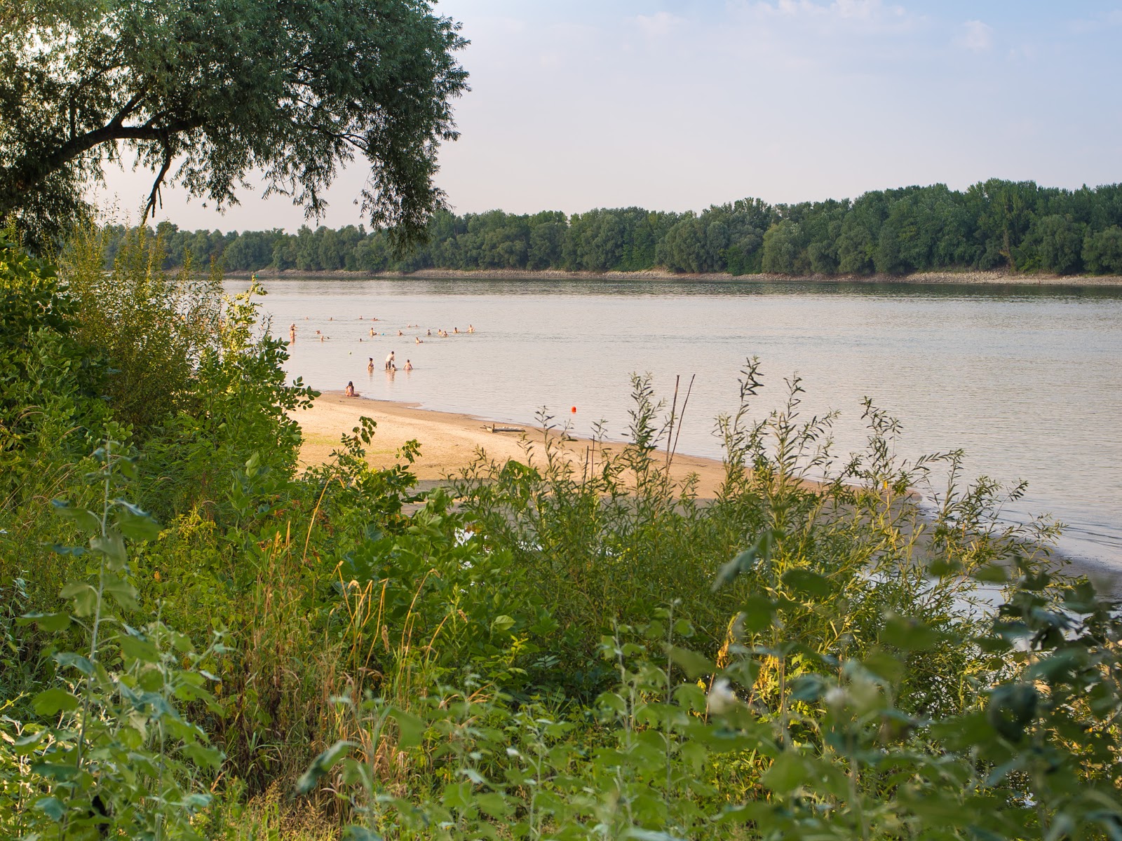 Dunai Szigetek: Baján is szabad a strand!