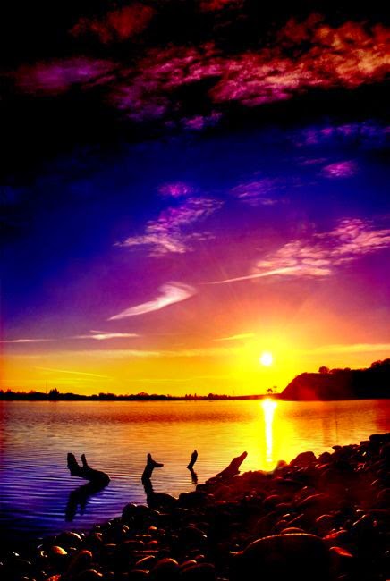 Evening Sun ~ Stunning nature