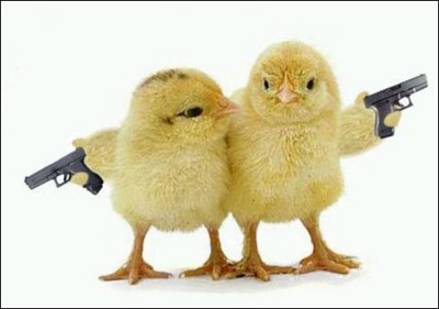 Unique Pictures: Cute funny animals with guns