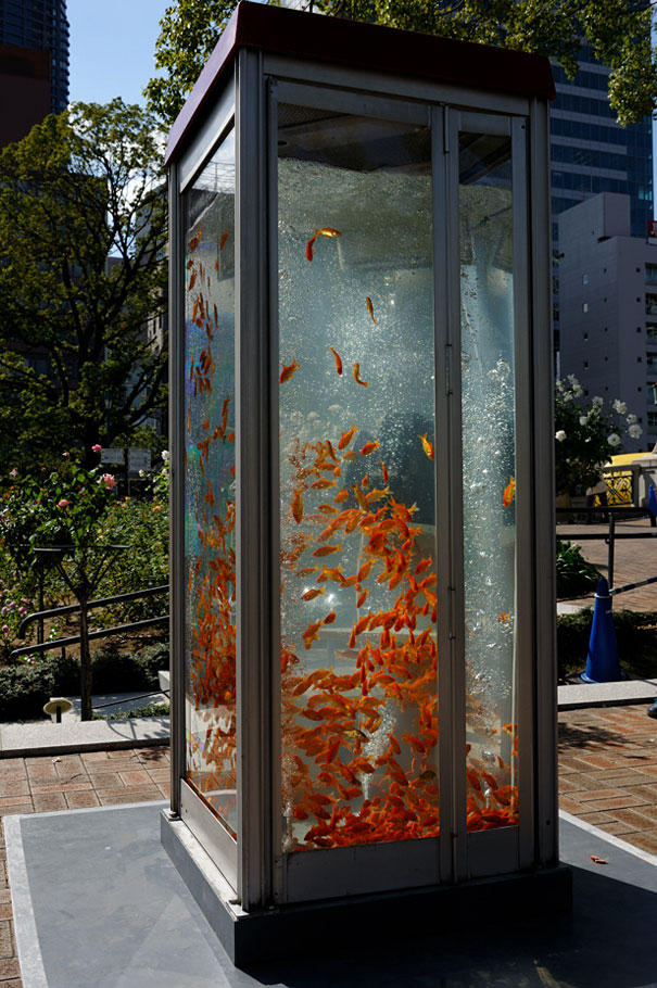 Goldfish Garage: A Two Car Fishroom: Phone Booths Transformed Into ...