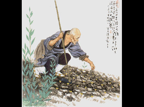 Enlightned Masters: Hyakujo