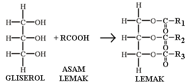 gERBANG tAU: Asam lemak/lemak