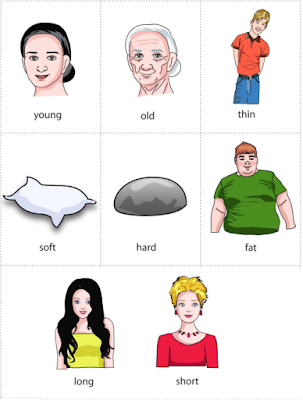 COMMON ADJECTIVES IN ENGLISH FOR YOUNG LEARNERS | ENGLISH LANGUAGE ...