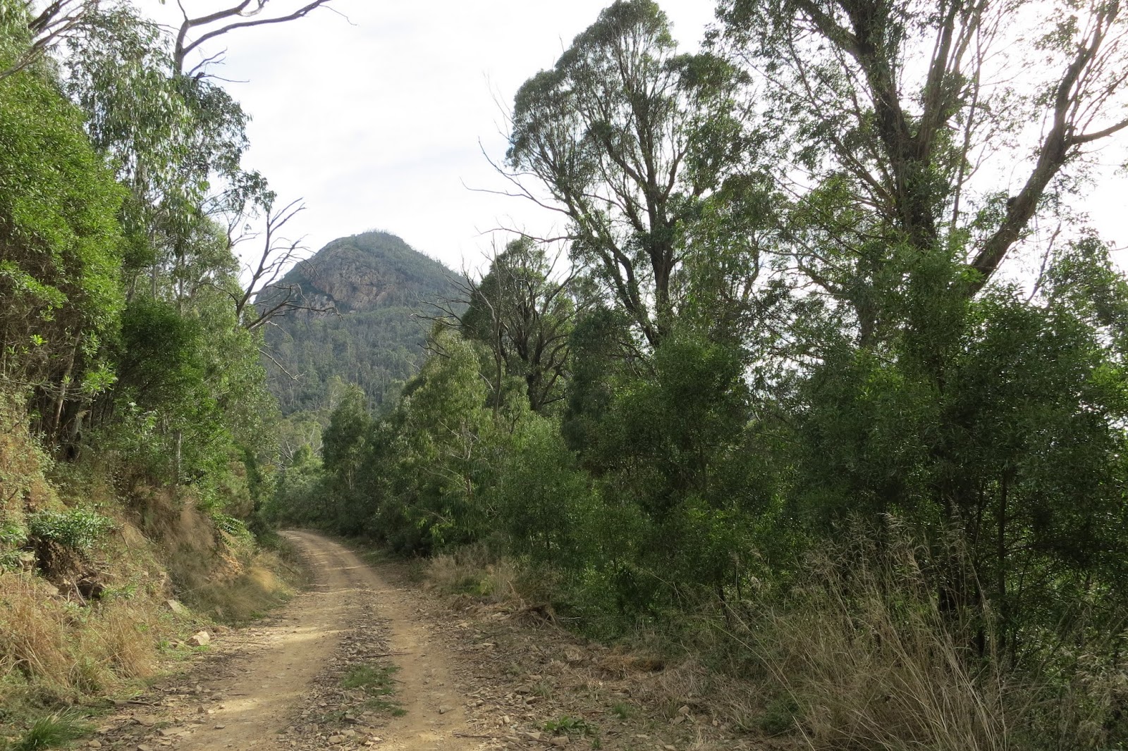 VK1DI's Blog: SOTA Activation Mt Coree 1421m
