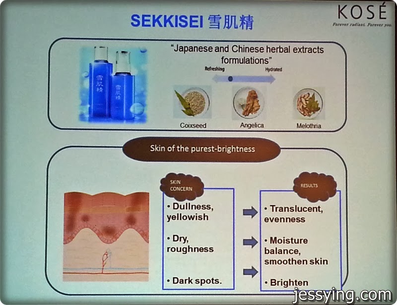 Jessying - Malaysia Beauty Blog - Skin Care reviews, Make Up reviews ...