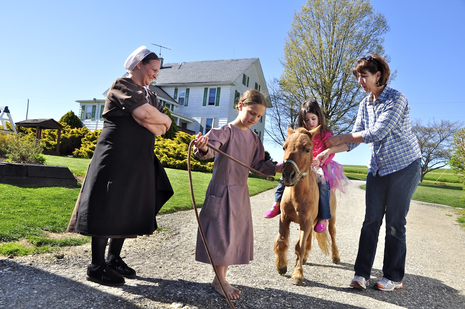 Loving Life One Day at a Time!: Amish Farm Visit: The Kaufman's