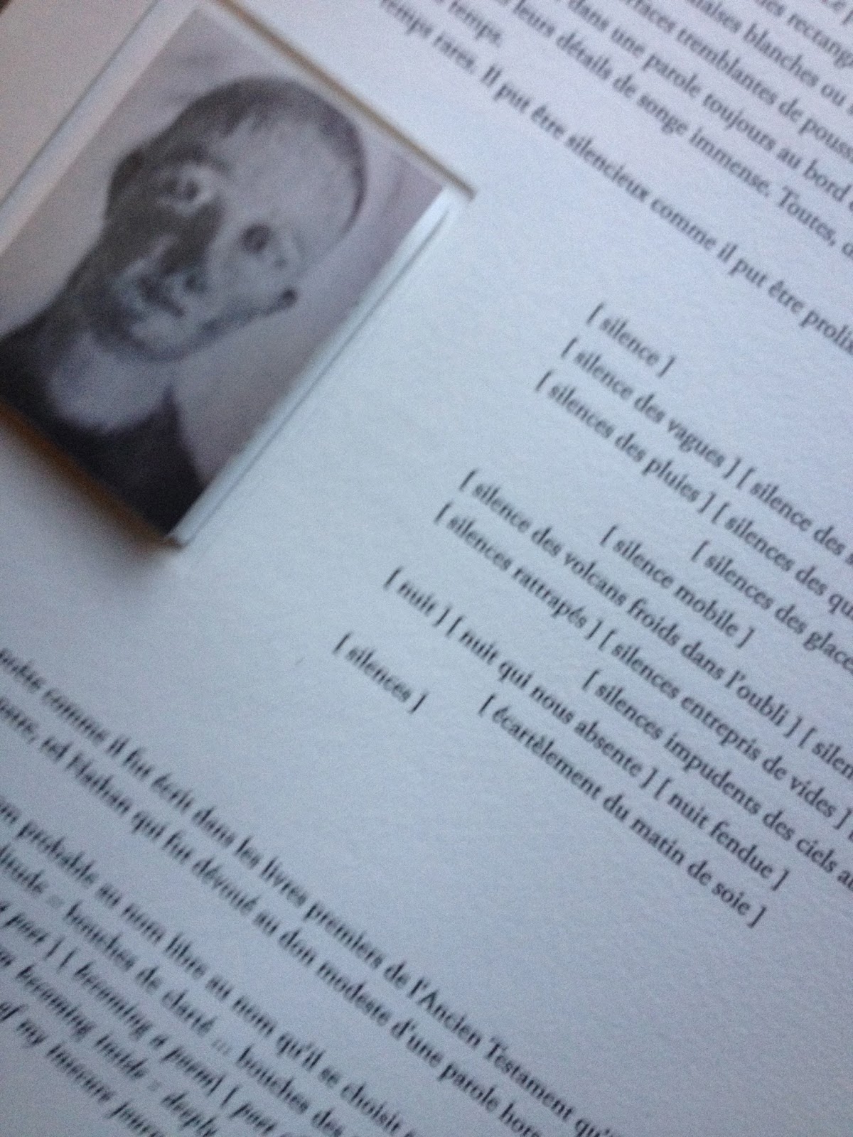 L'expédition friable, poème de Marjorie Micucci - Livre d'artiste de ...