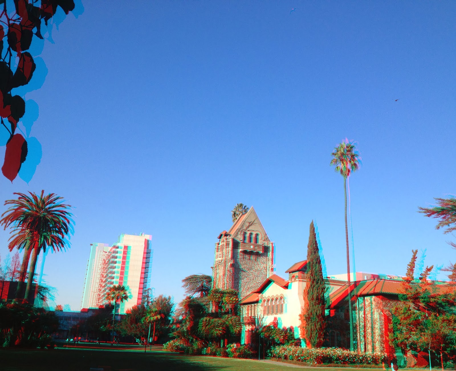 Melissa Paff's Physics of Animation Blog