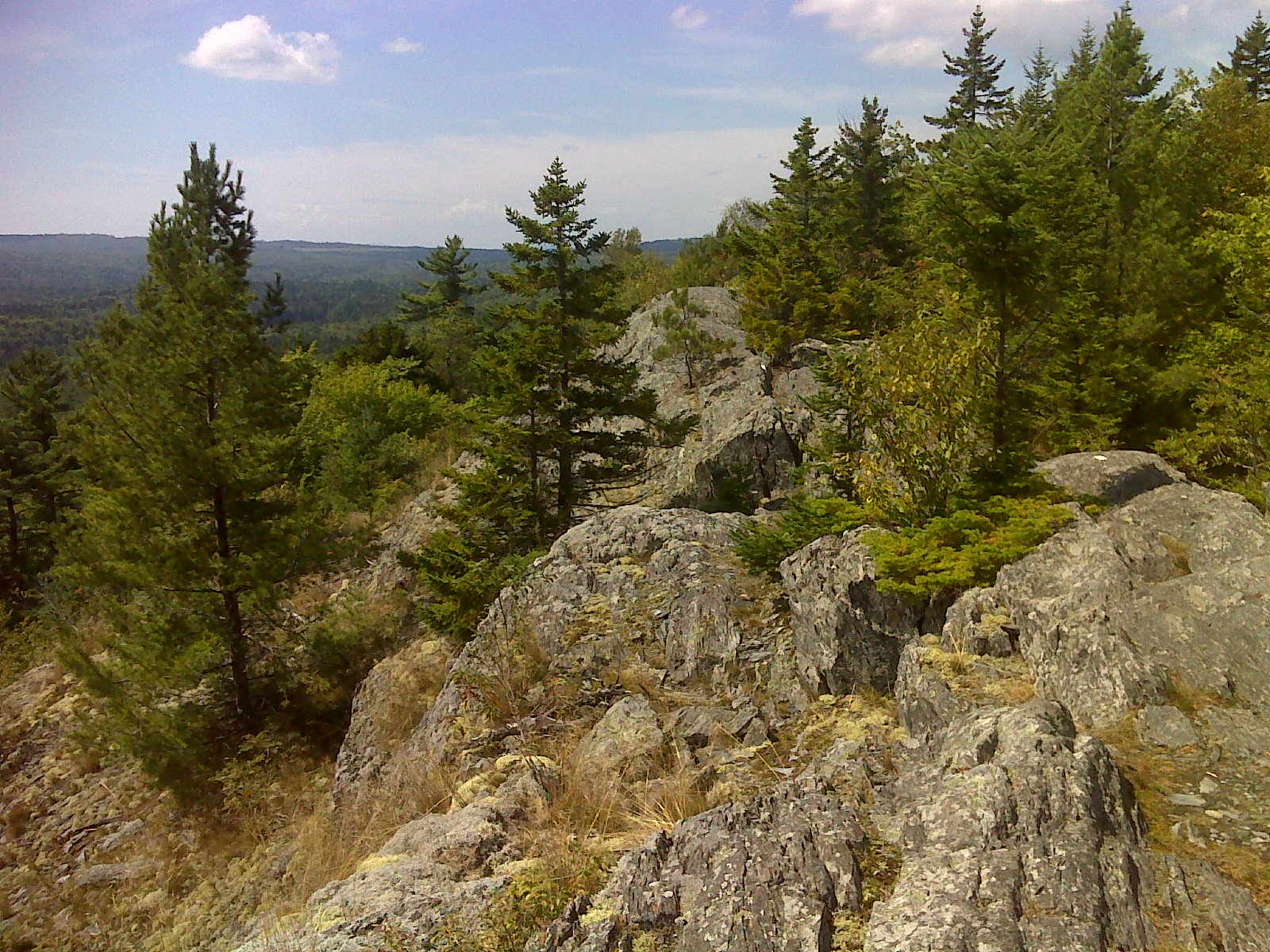 Heart and Sole: A finish in the rain in the dark